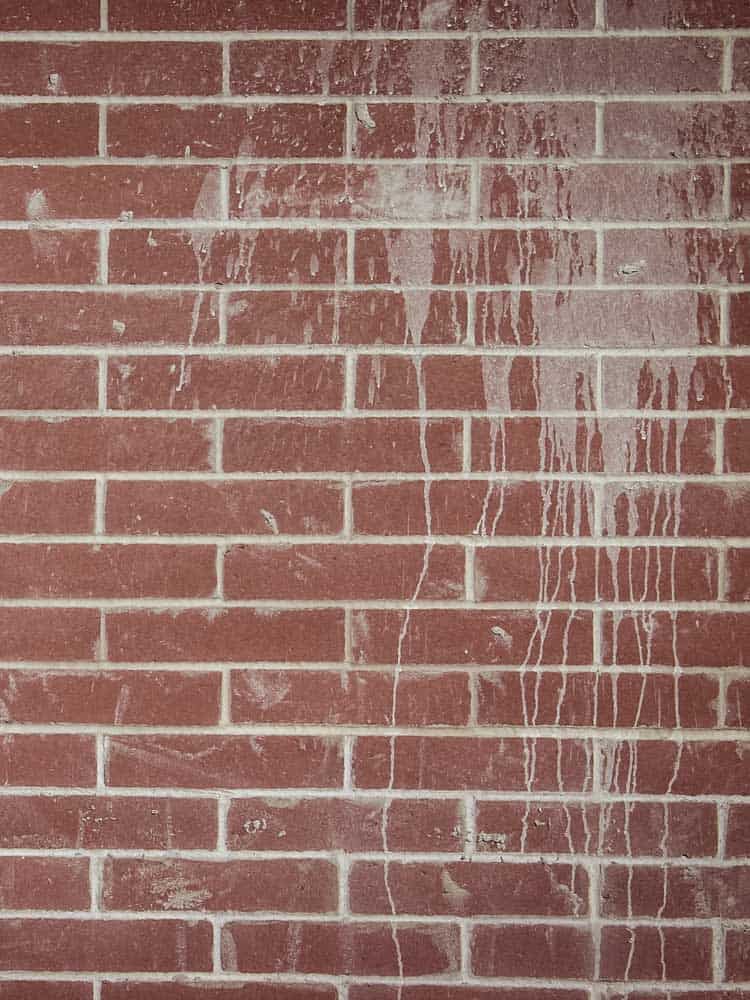 Lime Solvent | Brick Efflorescence Cleaner - PROSOCO Sure Klean 101